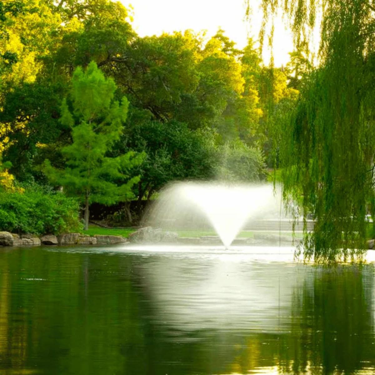 Pond fountain algae control: effective algaecide solutions