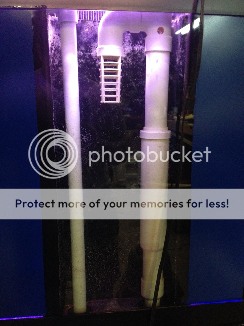 How to quiet down my overflow box - waterbox aquarium noise fix