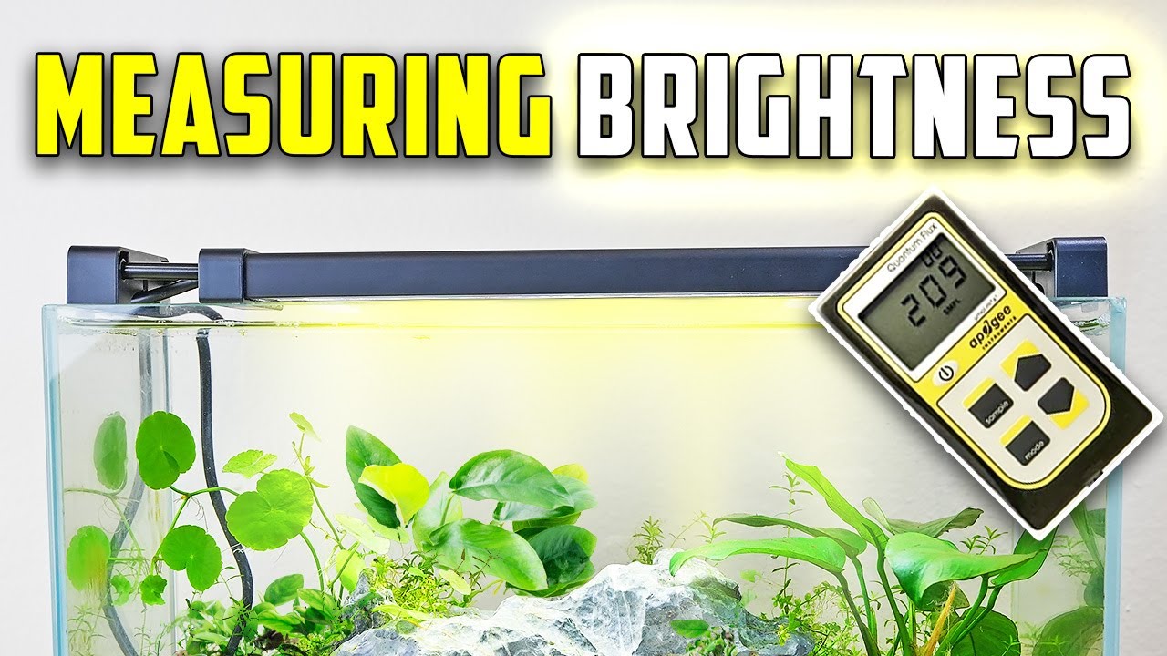Aquarium lighting explained: PAR, spectrum, and planted tank guide
