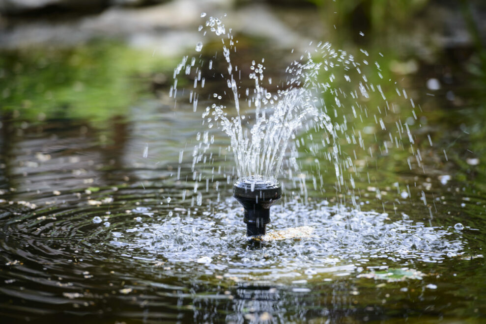 How to choose the right pond pump for your water feature