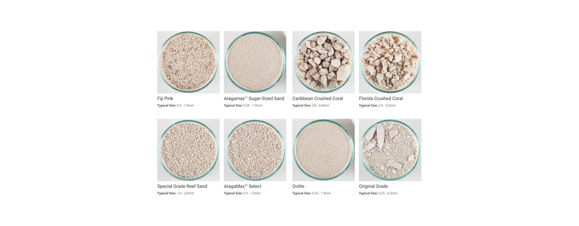 Sand in a Reef Aquarium