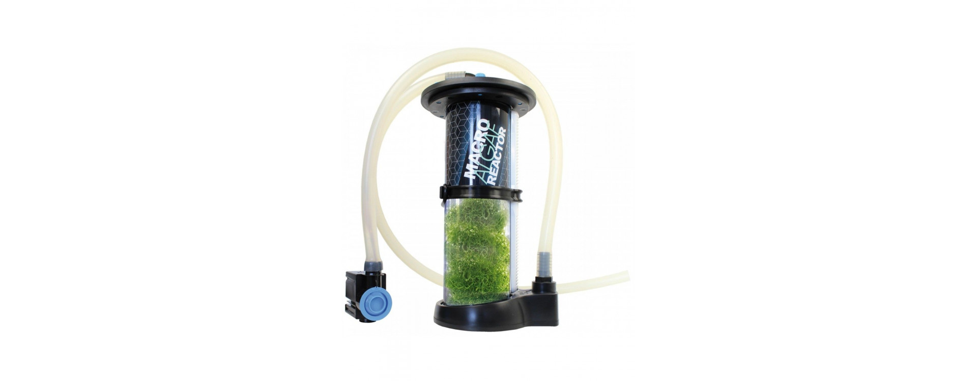 Algae Reactors in Reef Aquariums