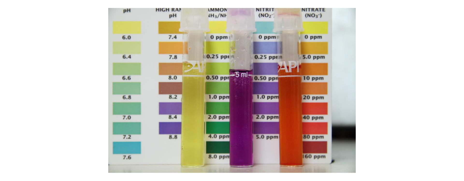 Complete Guide to Maintaining Water Parameters in a Reef Aquarium
