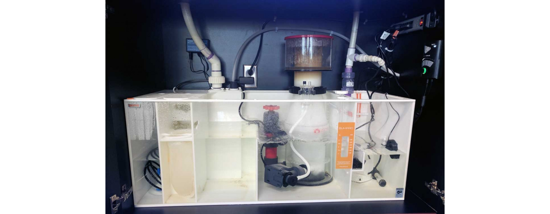 Guide de la décantation d'un aquarium récifal